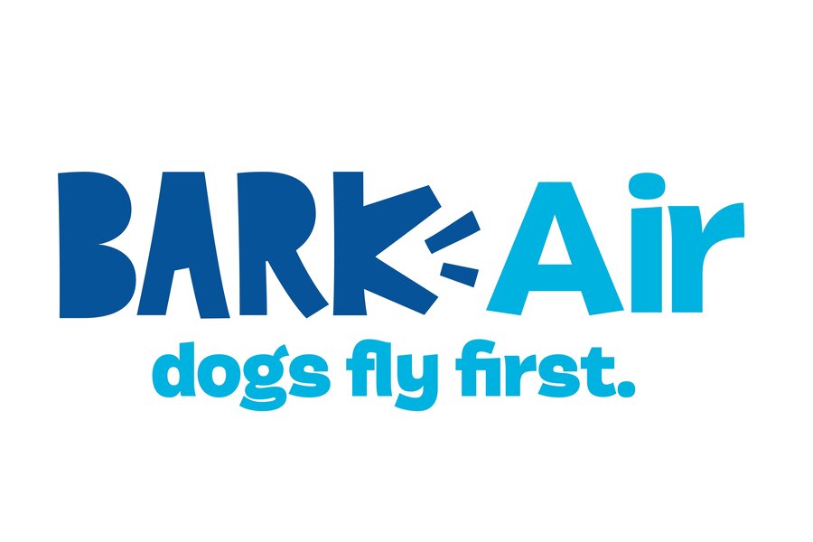 Furry Flyers Wanted! This Airline Pampers Pups with $8,000 Tickets